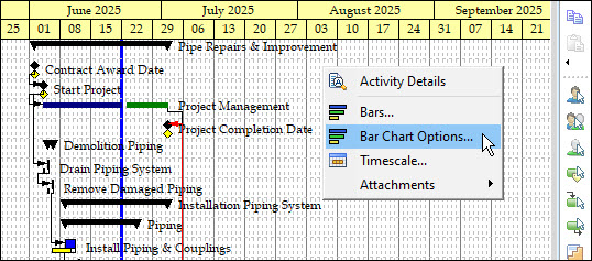 Sizing the Gantt Chart for Printout in P6 Professional - Ten Six