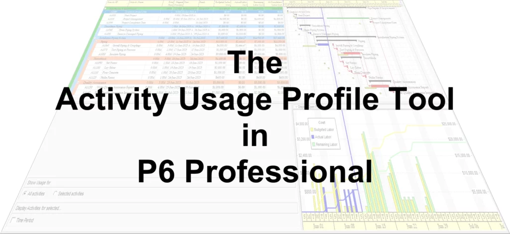 The Activity Usage Profile Tool in P6 Professional - Ten Six