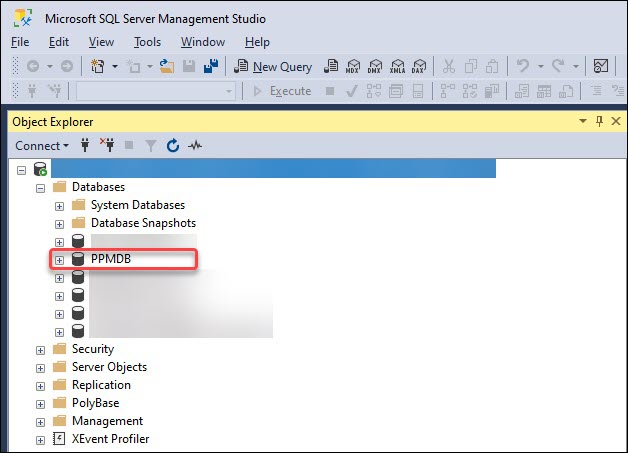 Upgrading P6 Professional and SQL Server Database - Ten Six