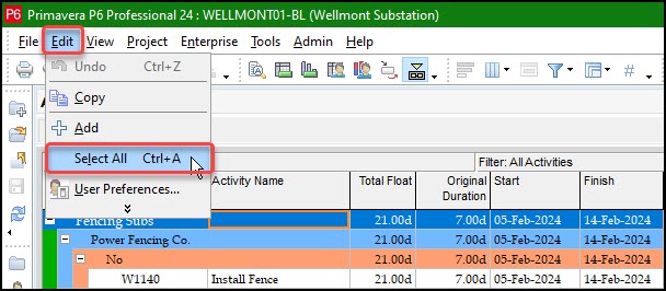 Grouping Activities by Multiple Fields in P6 - Ten Six