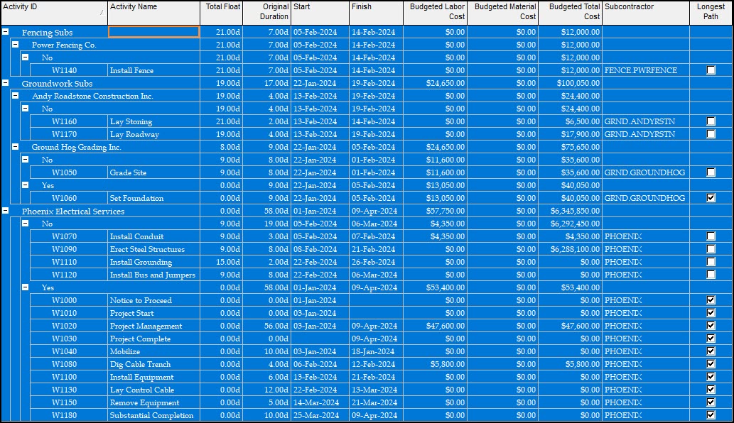 Grouping Activities by Multiple Fields in P6 - Ten Six