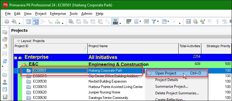 Matching Criterion for Selected Filters in P6 Professional - Ten Six