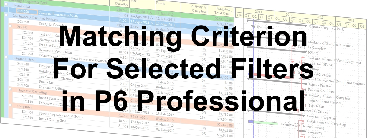 Matching Criterion for Selected Filters in P6 Professional - Ten Six