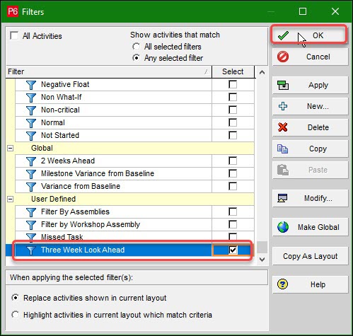 Matching Criterion Within a Filter in P6 Professional - Ten Six