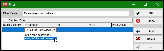 Matching Criterion Within a Filter in P6 Professional - Ten Six