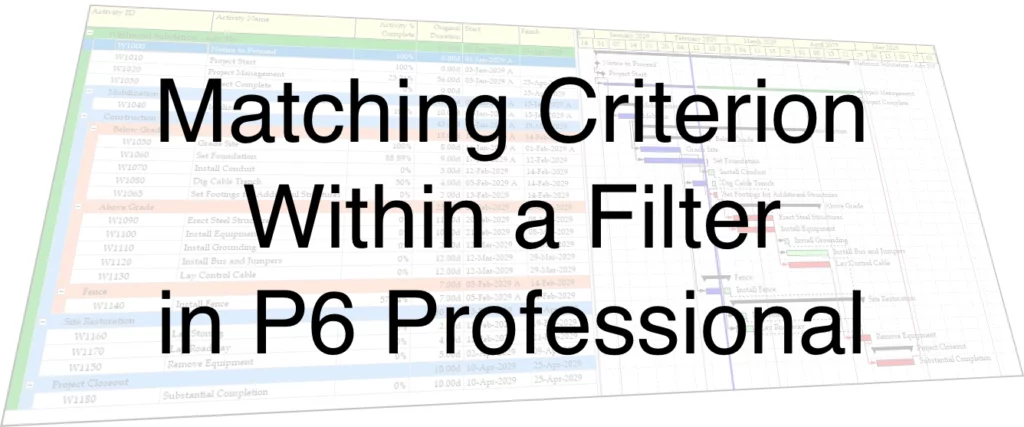 Matching Criterion Within a Filter in P6 Professional - Ten Six