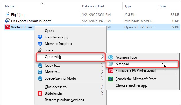 P6 Professional Export Formats - Ten Six