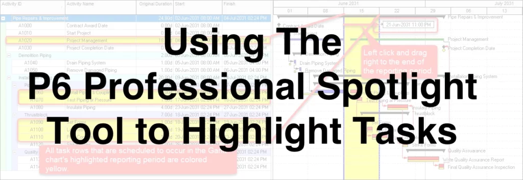 Using The P6 Professional Spotlight Tool to Highlight Tasks - Ten Six