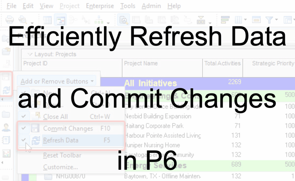 Efficiently Refresh Data and Commit Changes in P6 - Ten Six