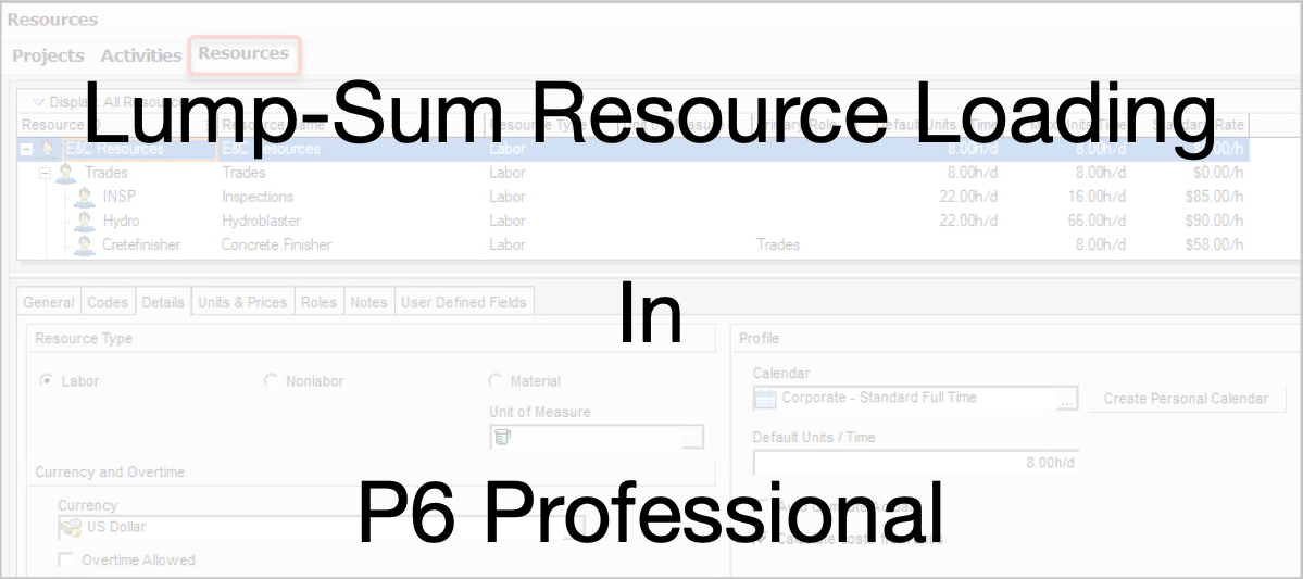 Lump-Sum Resource Loading in P6 Professional - Ten Six